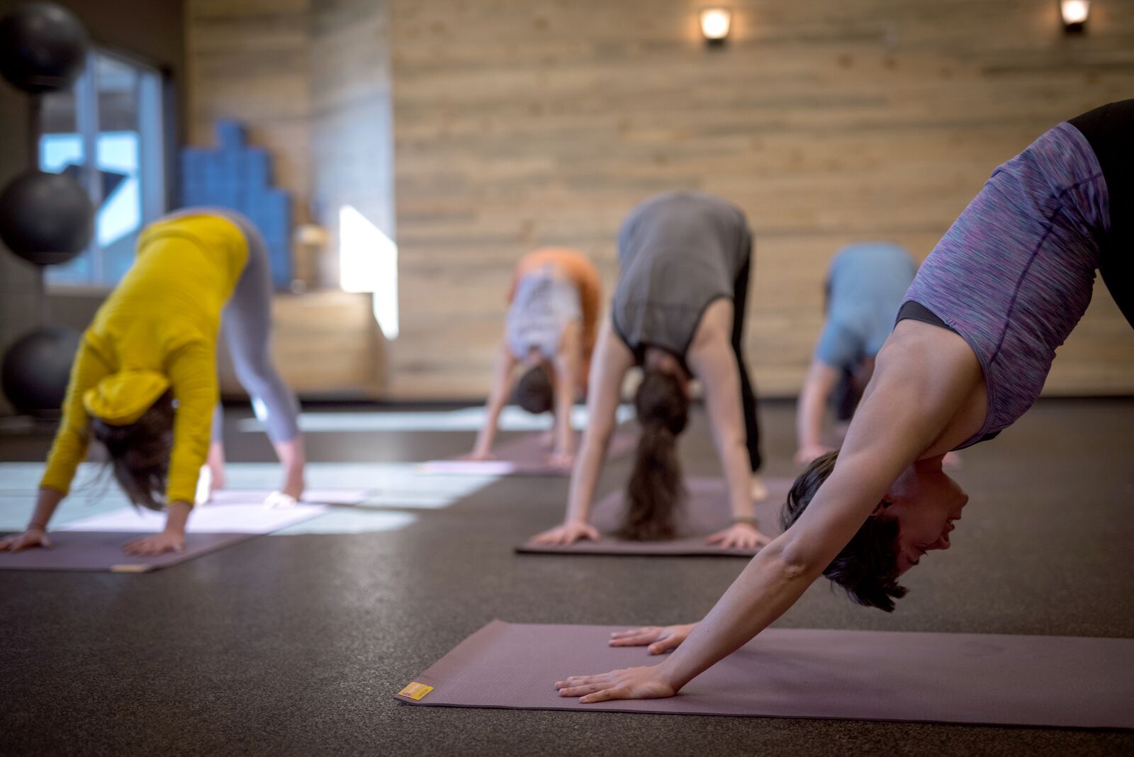 Movement Rockville, Yoga Instructors | Movement Climbing Yoga & Fitness