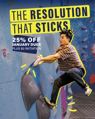 movement design district